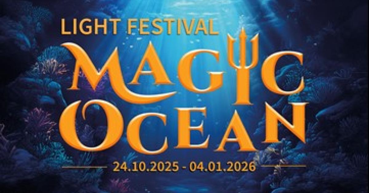 Lichtfestival Magic Ocean | KAVA